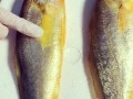 野生大黄鱼和养殖的区别_怎么分辨野生大黄鱼