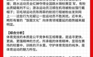 饭圈文化议论文_如何理性追星