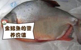 金鲳鱼是海鱼还是淡水鱼_金鲳鱼养殖环境揭秘