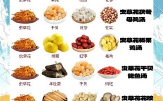 虫草怎么吃最好_虫草的正确吃法