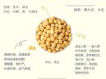 黄豆每天吃多少最好_黄豆一天吃多少克合适