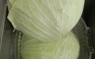 冬菜的做法大全_冬菜怎么做才好吃