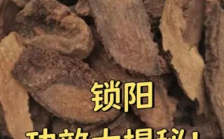 锁阳的功效与作用_锁阳能提高性功能吗