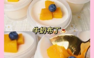 酸奶布丁的做法_酸奶布丁怎么做才嫩滑