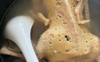 清炖鸭子怎么做好吃_清炖鸭子的家常做法