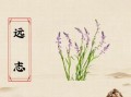 远志和酸枣仁把人吃死了_中毒真相