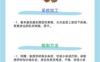 阿魏是什么中药_阿魏的功效与作用