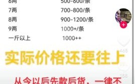 黄鳝价格多少钱一斤_2024年最新行情