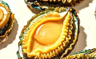 袋装冻鲍鱼怎么解冻_袋装冻鲍鱼的家常做法