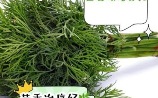 小茴香的功效与作用_孕妇能吃小茴香吗