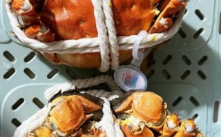 苏州大闸蟹什么时候上市_上市时间一般几月