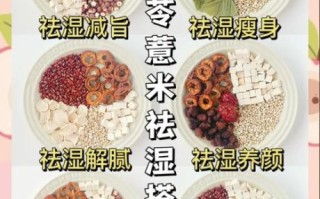身体湿气重吃什么食物_湿气重怎么调理饮食