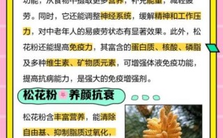 松花粉适合什么人群吃_松花粉的功效与作用适合哪些人
