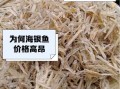 银鱼是海鱼还是淡水鱼_银鱼生活习性全解析