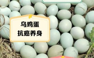 乌鸡蛋怎么煮好吃_乌鸡蛋的营养价值