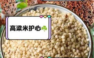 高粱米的功效与作用_高粱米怎么吃最营养