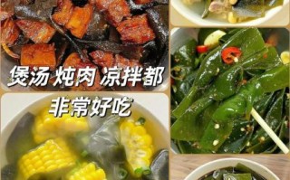 海带宝专业版怎么用_海带宝专业版多少钱