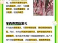 羊肉的功效与作用及禁忌_什么人不能吃羊肉