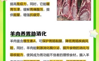 羊肉的功效与作用及禁忌_什么人不能吃羊肉