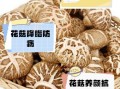 白花菇的功效与作用_白花菇怎么吃最营养
