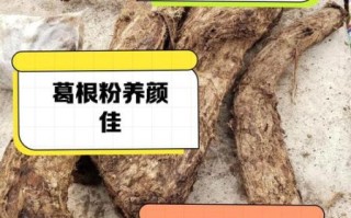 吃葛根粉的功效与禁忌_哪些人不能吃