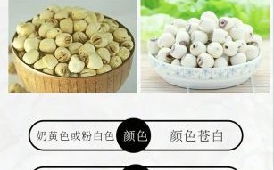 新鲜莲子怎么晒干_莲子晒干需要多久