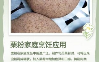 栗子粉的功效与作用_栗子粉怎么吃效果最好