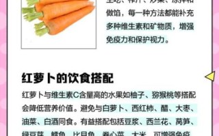 红萝卜的功效与作用及禁忌_红萝卜怎么吃最健康
