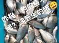野生小鲫鱼怎么炖好吃_野生小鲫鱼炖汤做法