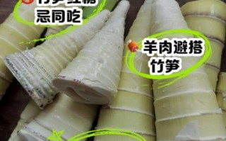 竹笋最佳搭配_竹笋不能和什么一起吃