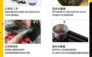 野生干海参怎么泡发_海参泡发多久才最好