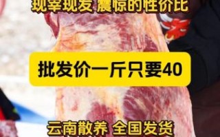 牛肉批发价格哪里便宜_如何挑选靠谱牛肉批发网