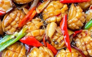 红烧鲍鱼怎么烧才好吃_红烧鲍鱼的家常做法