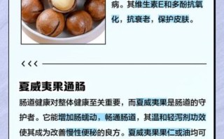 夏威夷果的营养价值_夏威夷果的功效与作用