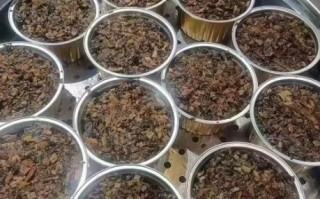 梅菜干怎么晒_梅菜干制作方法