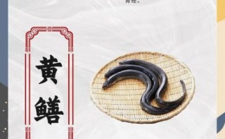 黄鳝和什么搭配最营养_黄鳝怎么吃最补