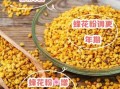 蜜蜂花粉的功效与作用_蜜蜂花粉怎么吃最好