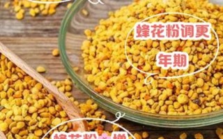 蜜蜂花粉的功效与作用_蜜蜂花粉怎么吃最好