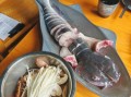 鱼火锅利润大概多少_开一家鱼火锅店能赚多少钱