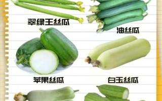 丝瓜品种有哪些_如何挑选高产丝瓜