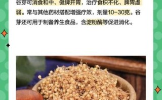 谷芽别名是什么_谷芽与麦芽区别