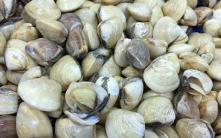 蚬子怎么清洗_蚬子焯水几分钟