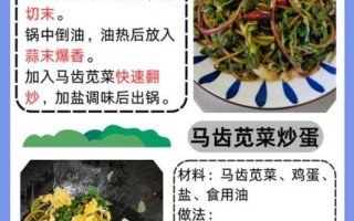 马齿苋菜怎么做好吃_马齿苋菜的家常做法