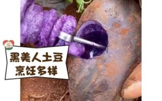 黑美人土豆怎么吃_黑美人土豆做法大全