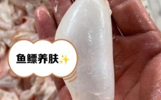 鱼鳔是什么_鱼鳔的功效与作用