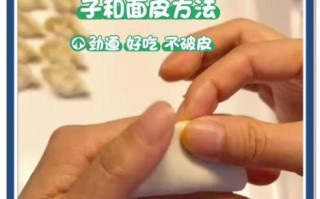 饺子皮怎么和面又软又好吃_饺子皮用什么水和面最软