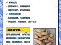 蔓菁是什么_蔓菁怎么吃