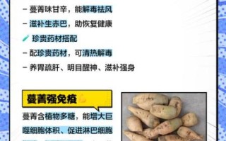 蔓菁是什么_蔓菁怎么吃