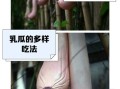 乳瓜是什么_乳瓜怎么吃最好