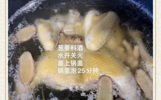 白切鸡怎么做才正宗_广式烧鹅皮脆秘诀
